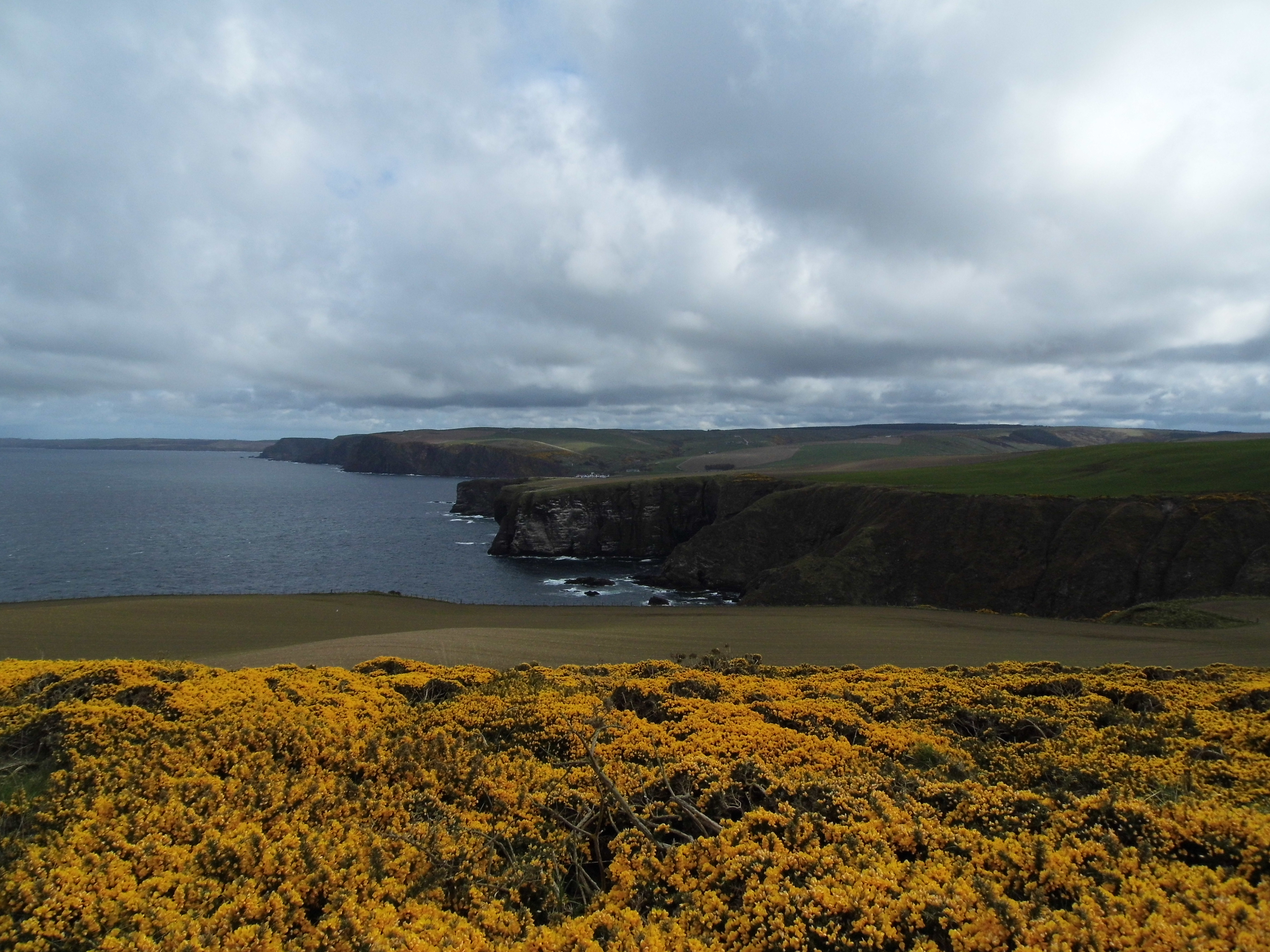 Response to Consultation on Land Rights and Responsibilities | Quakers ...